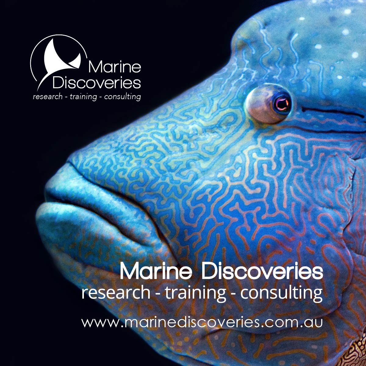 Meet The Team - Marine Discoveries