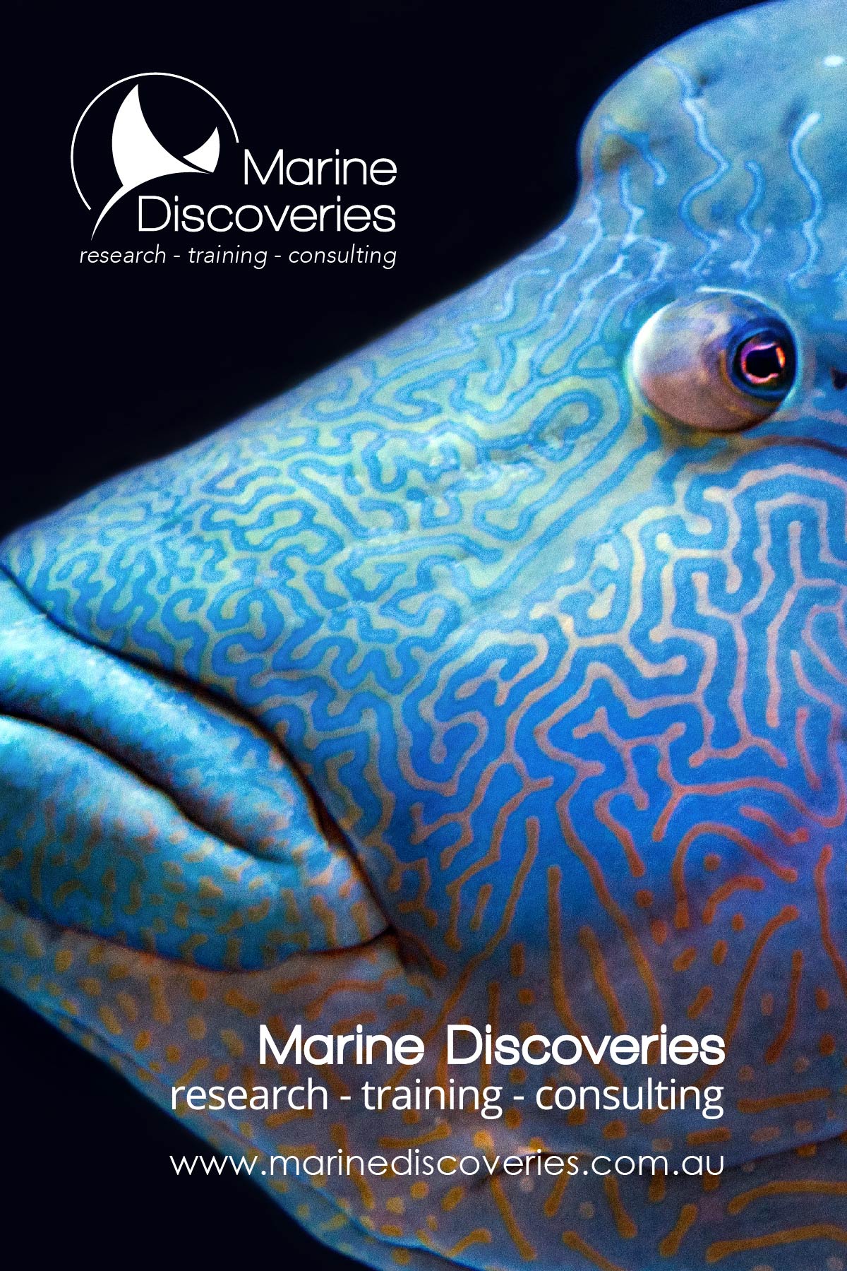 How You Can Help - Marine Discoveries